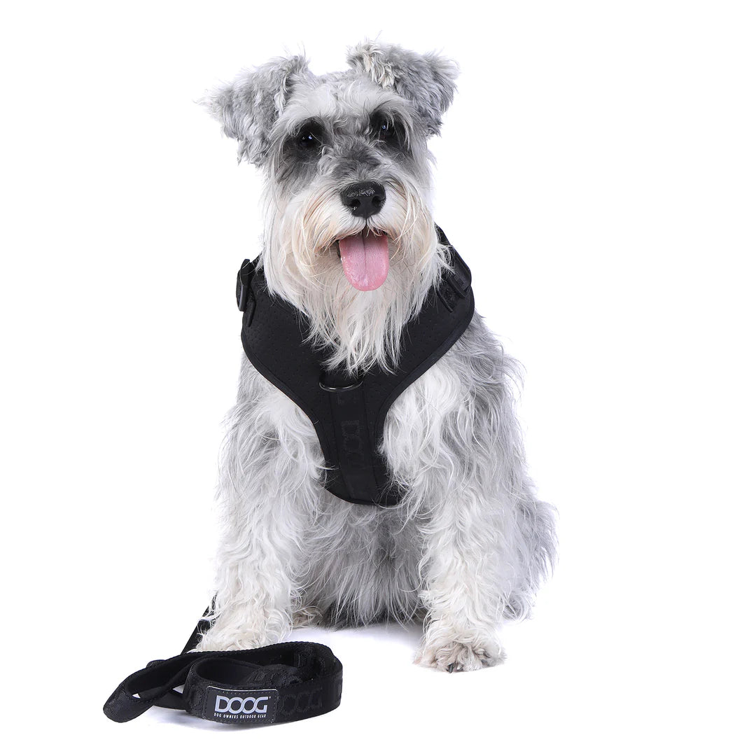 Doog Neosport Soft Harness - Black - Australian Made – Bobbie Dogs