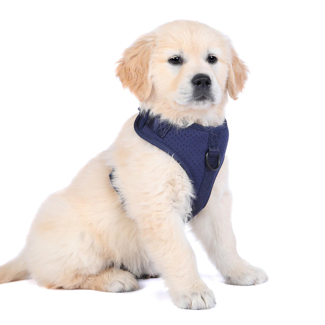 Doog Neosport Soft Harness - Navy - Australian Made – Bobbie Dogs