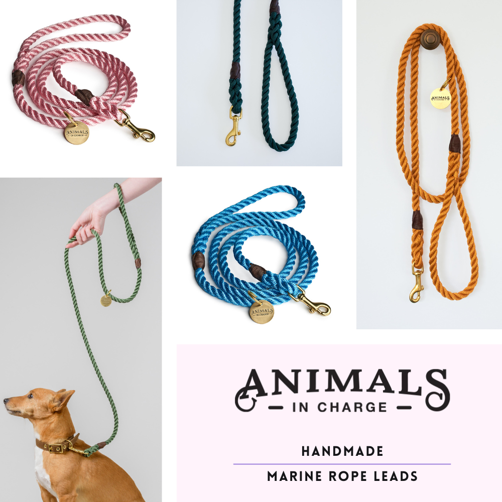Animals In Charge Rope Lead - Marine Grade – Bobbie Dogs