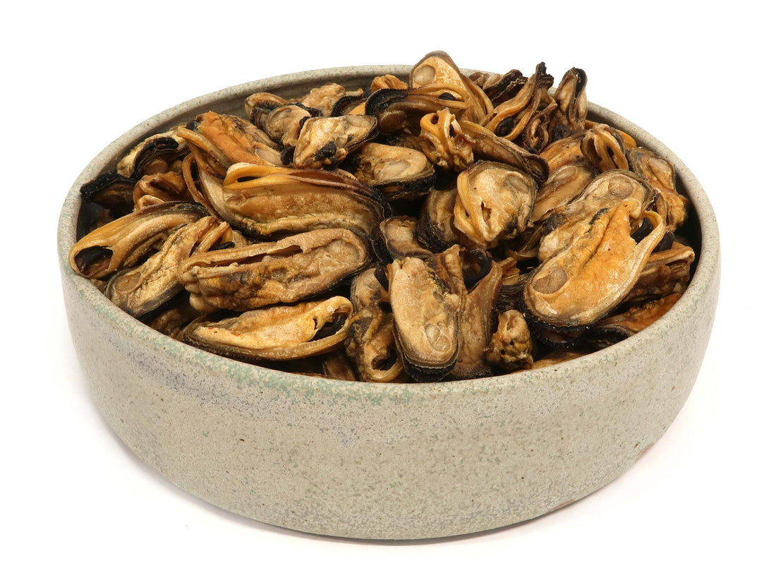 New Zealand Green Lipped Mussels For Dogs | BOBBIE DOGS
