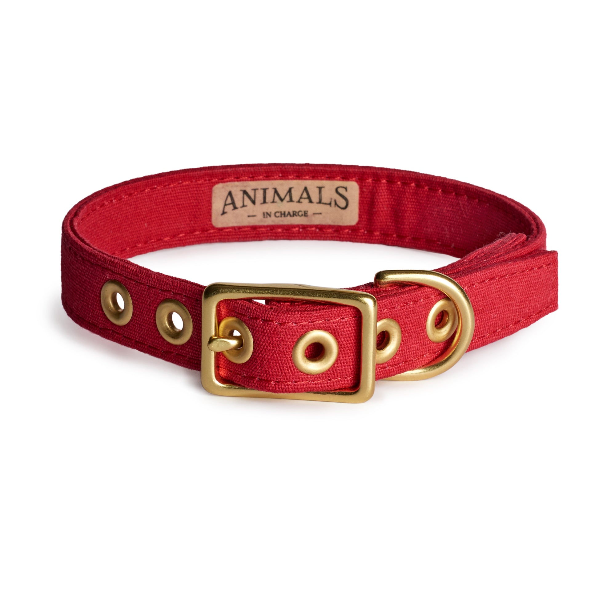 Animals In Charge Recycled Collar - Red – Bobbie Dogs