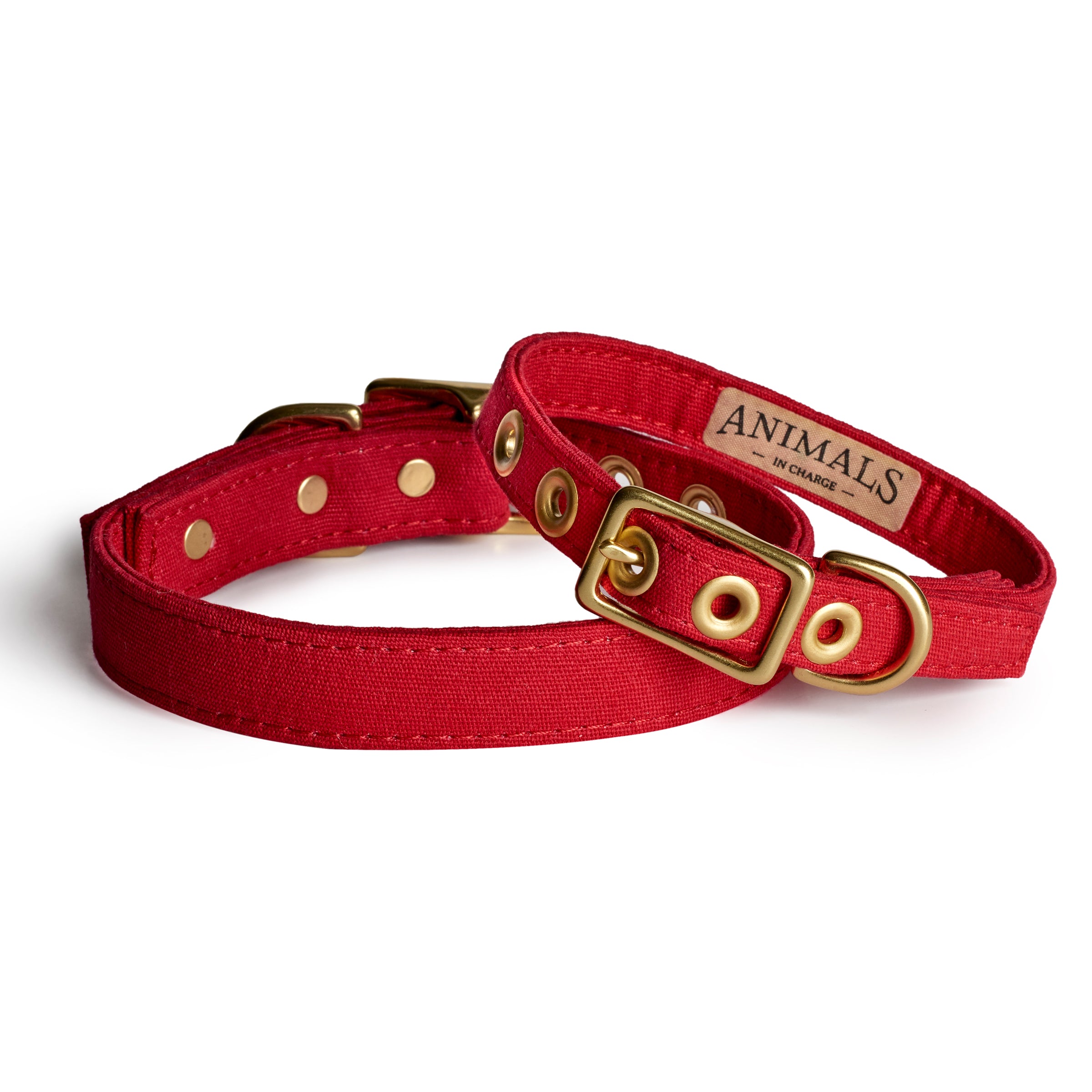 Animals In Charge Recycled Collar - Red – Bobbie Dogs